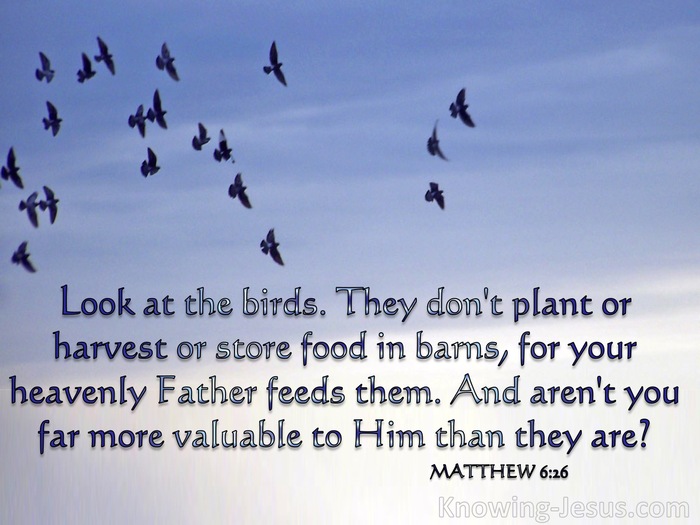 46 Bible verses about Taking Care Of The Earth