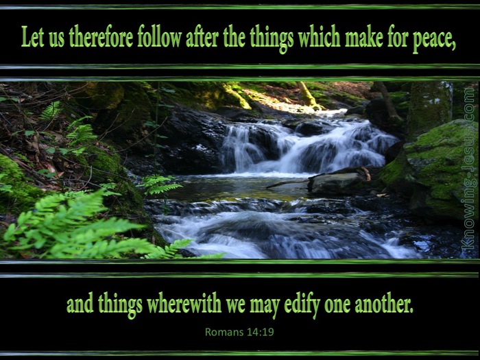 13 Bible verses about Building Each Other Up