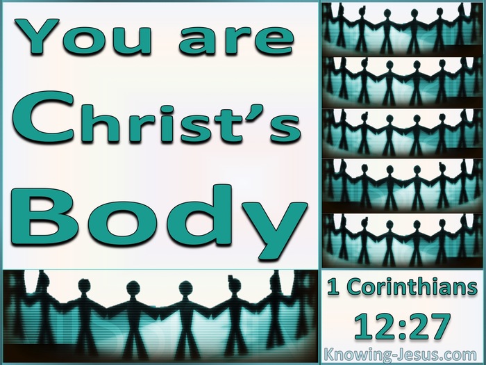 1 Corinthians 12:27 Now you are Christ’s body, and individually members of it.