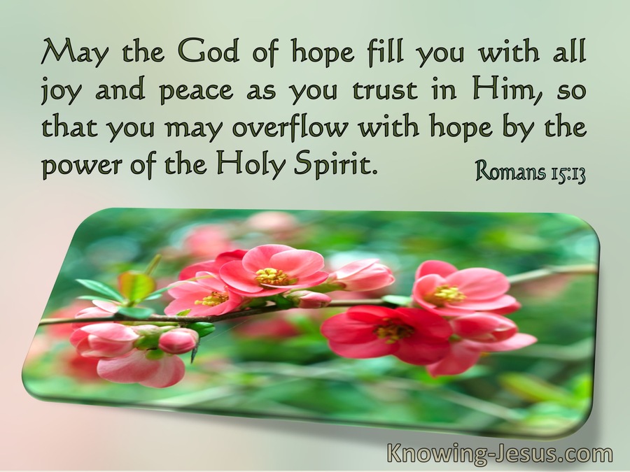 Romans 15:13 May The God Of Hope Fill You With All Joy And Peace In ...